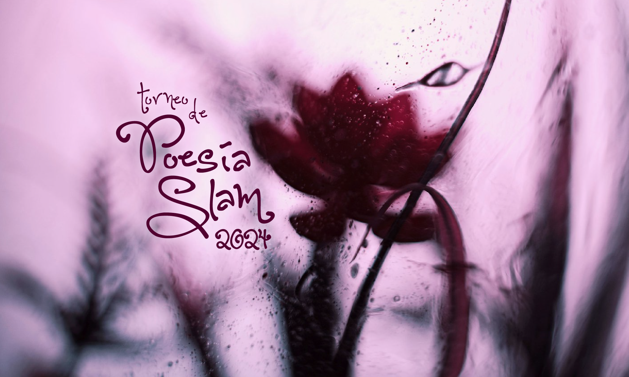 Torneo de Poesía Slam 2024 – Centro Cultural de España Tegucigalpa (CCET)